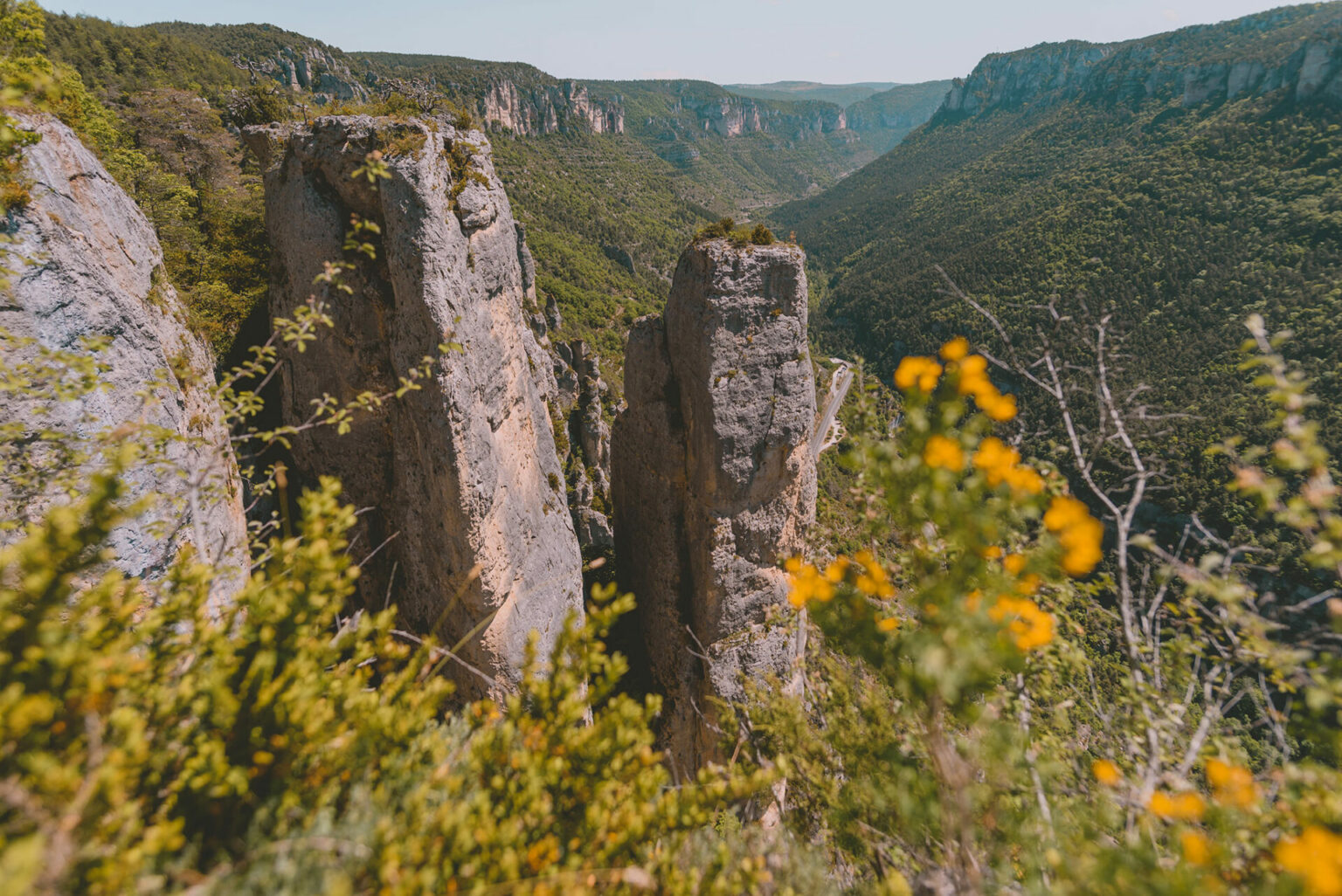 Les 5 plus belles randonnées des Gorges du Tarn - L'Oiseau Rose