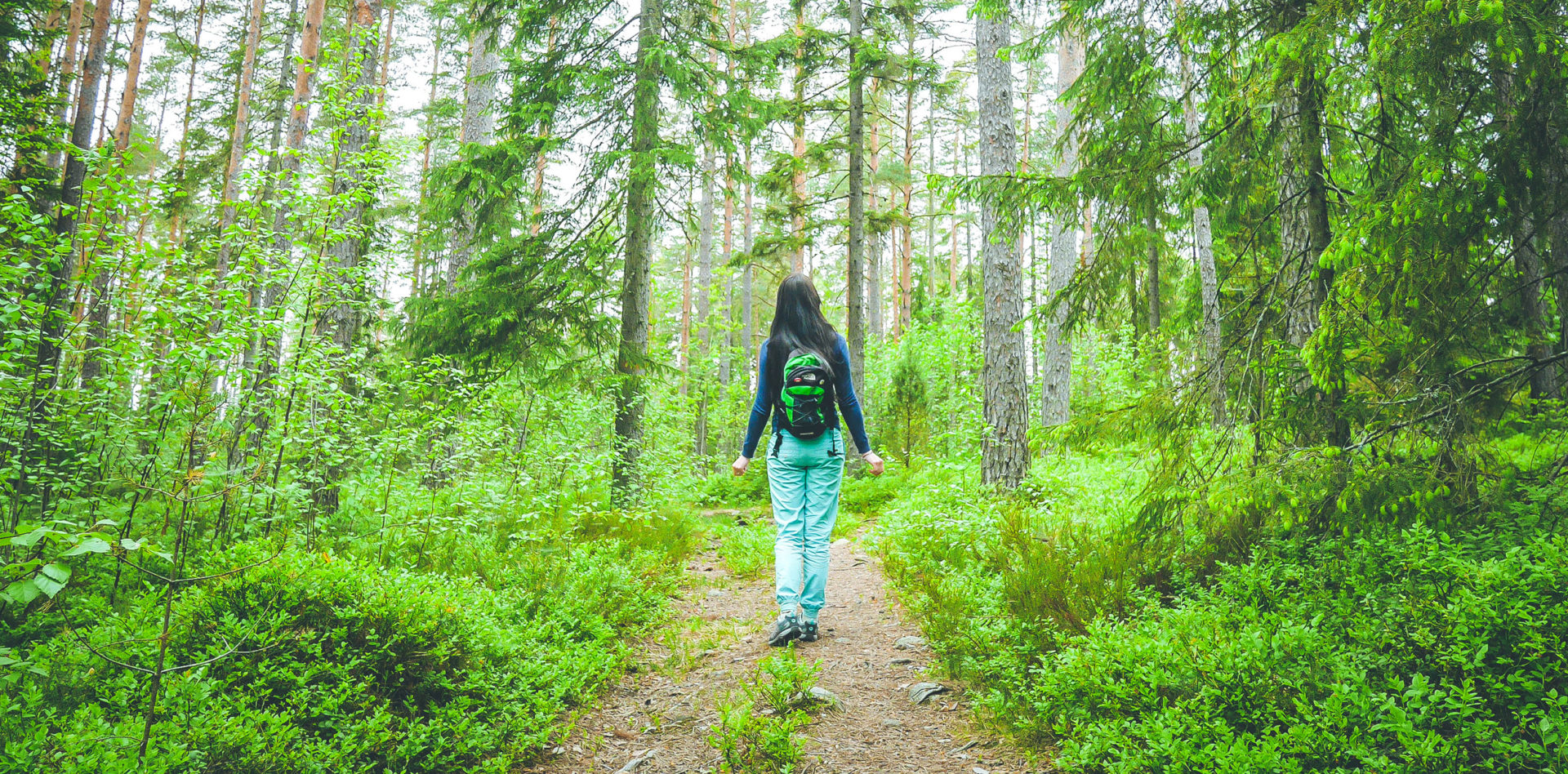 Effectuer une randonnée dans la forêt Finlandaise