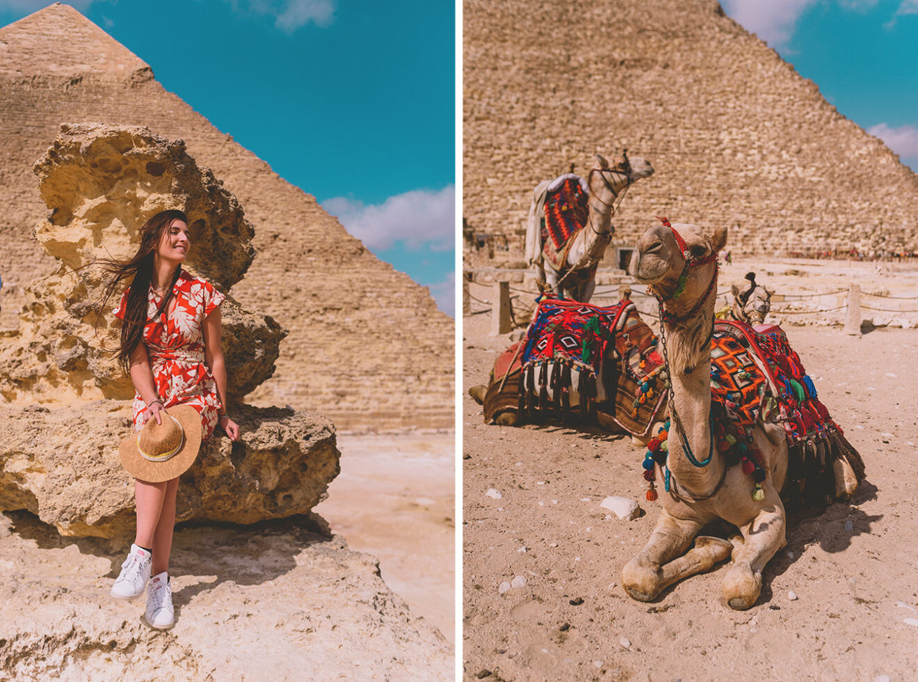 Que faire en Égypte ? Avec itinéraire et guide complet - L'Oiseau Rose