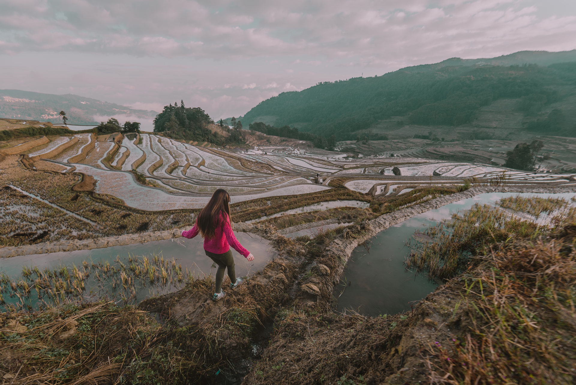 Le sud Yunnan et fameuses rizières en terrasse de Yuanyang- L'Oiseau Rose