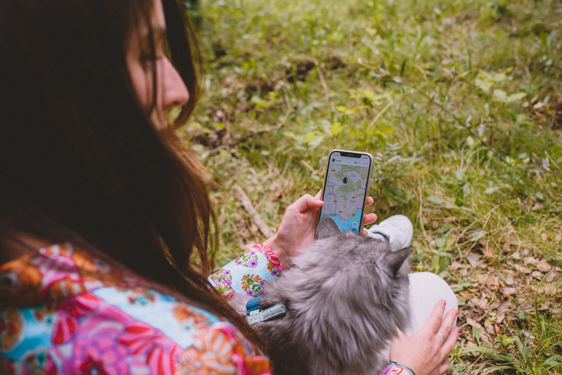 Suivre son chat grâce à un collier GPS, avis et test de Tractive - L ...
