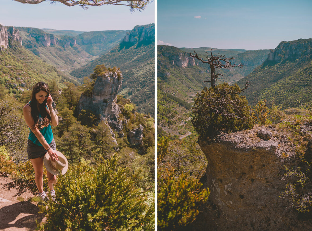 Les 5 plus belles randonnées des Gorges du Tarn - L'Oiseau Rose