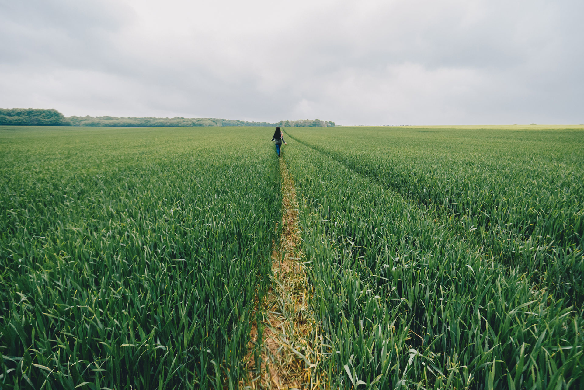 Visiter le Berry, une province nature et hors du temps ! - L'Oiseau Rose