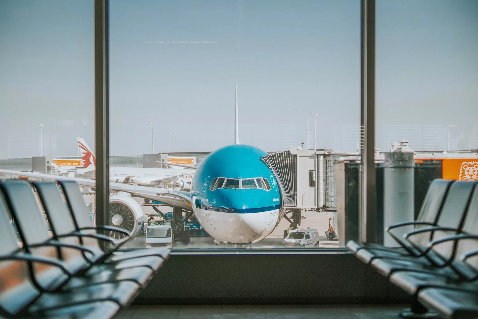 Éviter le Jet lag après un long voyage ! - L'Oiseau Rose